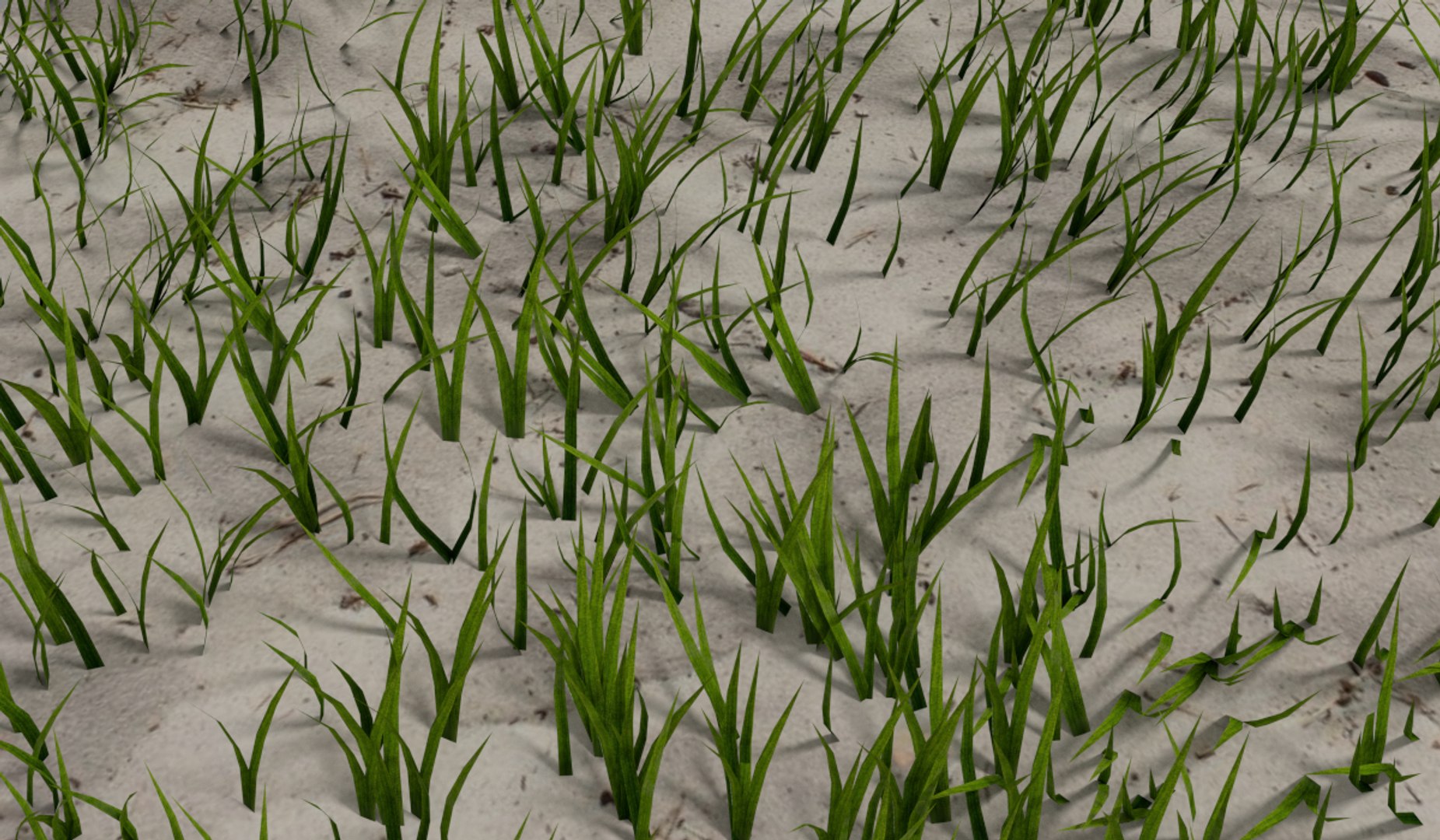 Realistic Grass 3d Obj