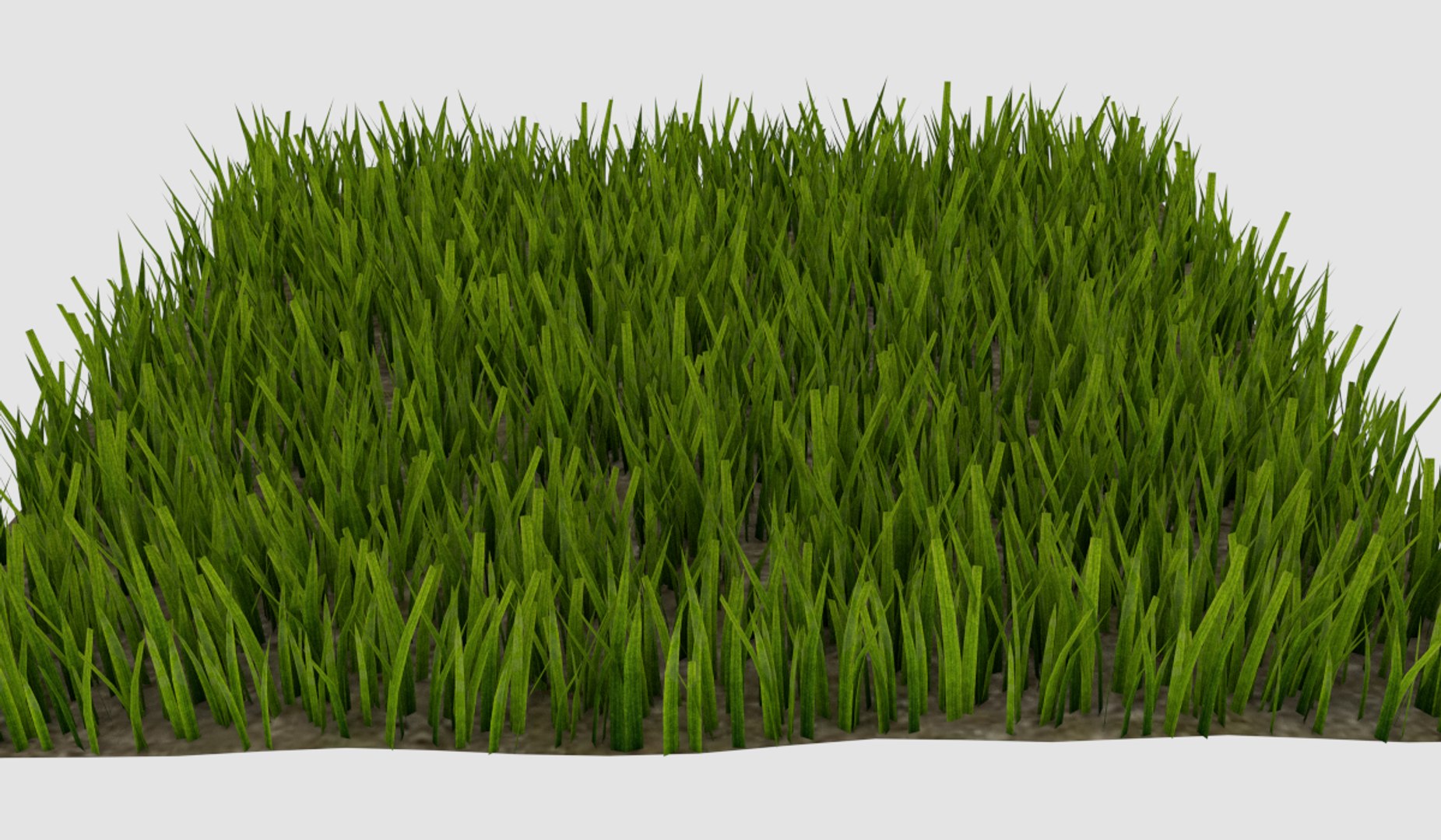 Realistic Grass 3d Obj