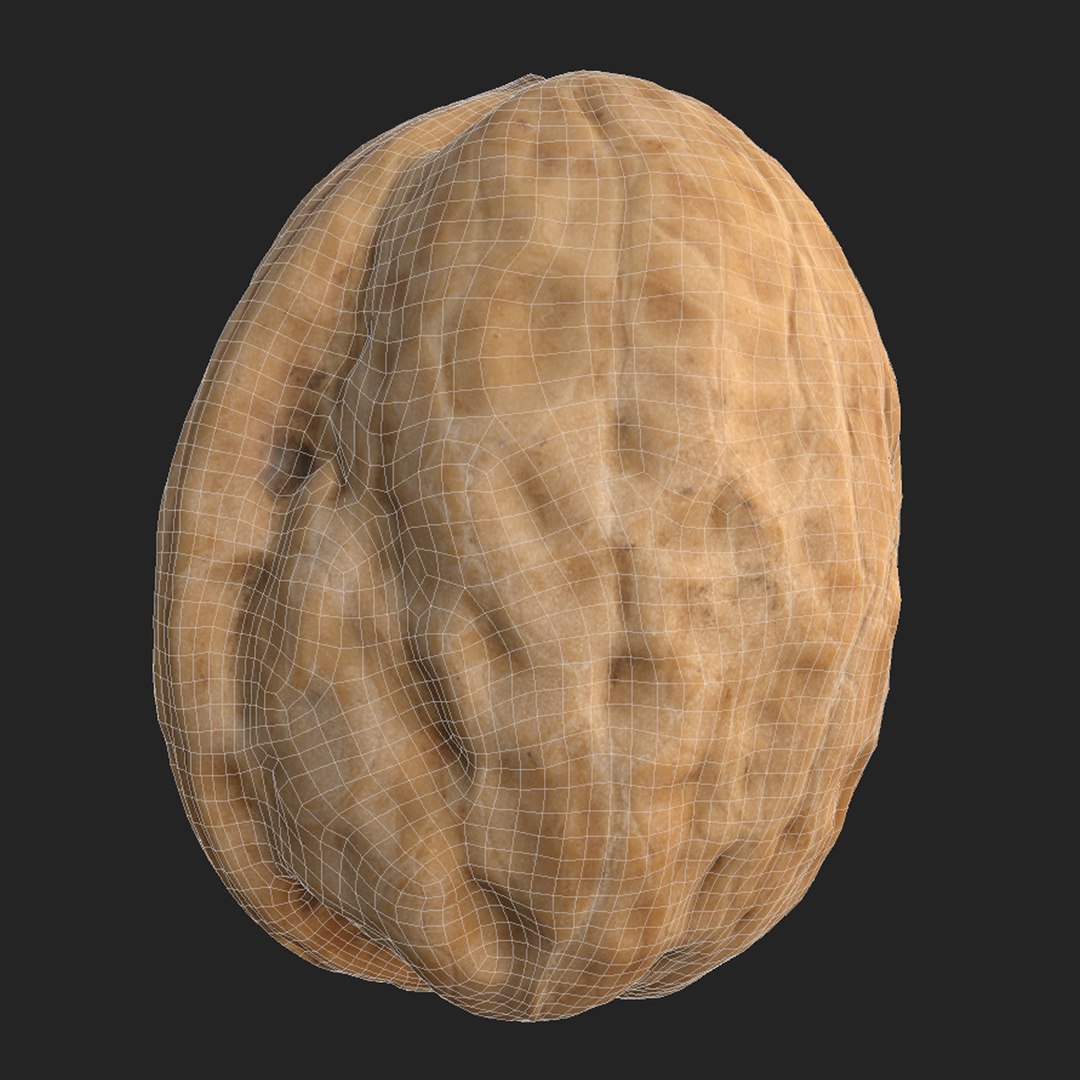 3D Walnut - TurboSquid 1976568