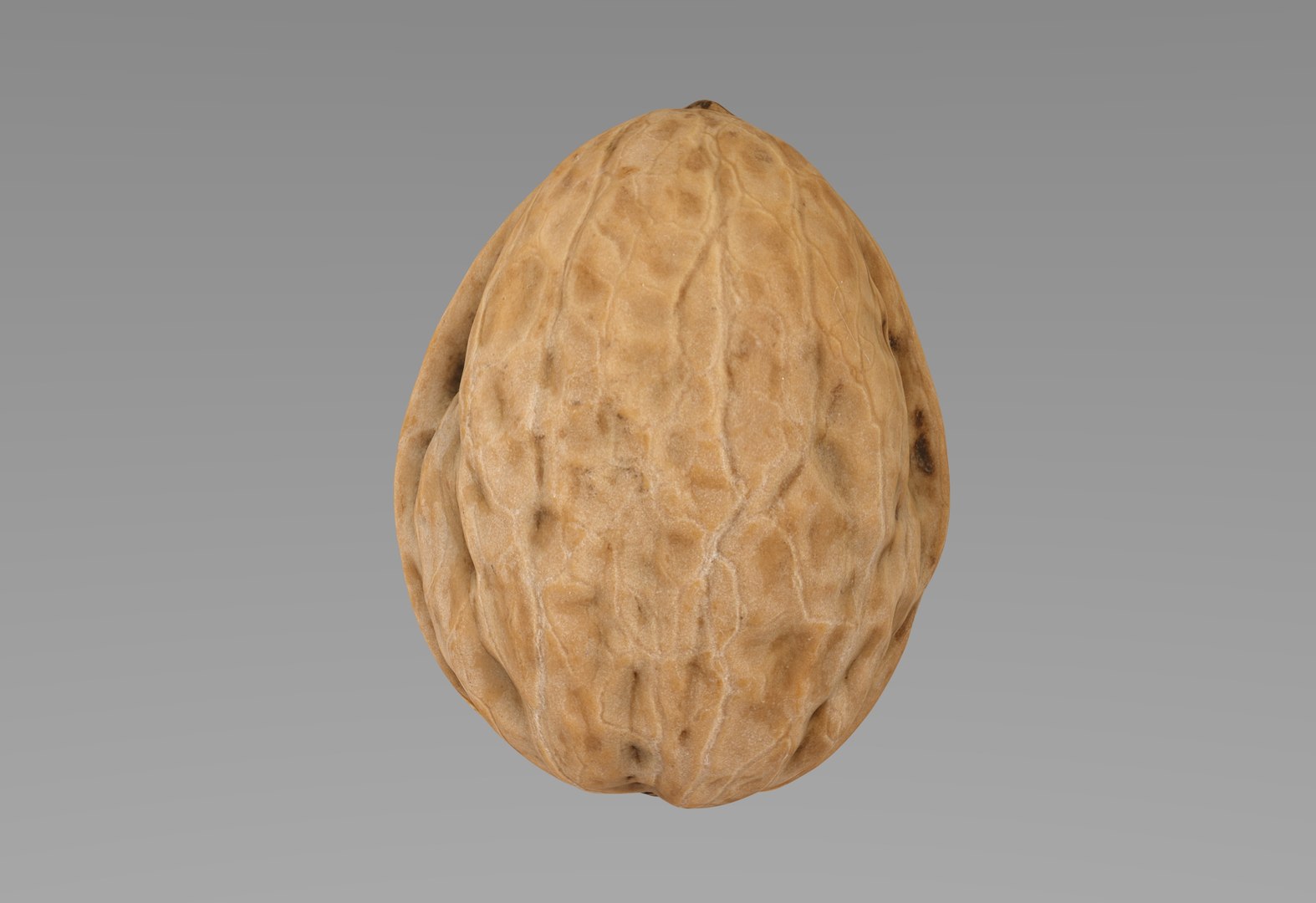 3D Walnut - TurboSquid 1976568