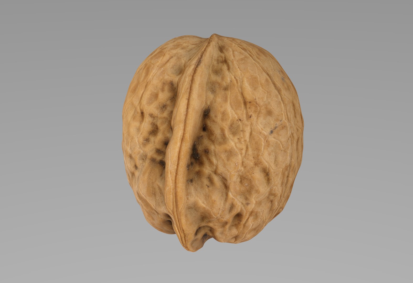 3D Walnut - TurboSquid 1976568