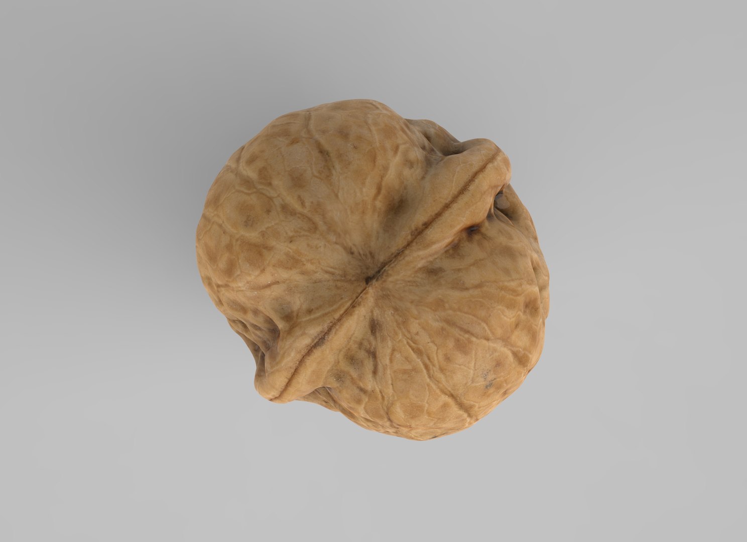 3D Walnut - TurboSquid 1976568