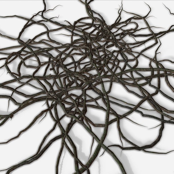 Free 3D Roots Models | TurboSquid
