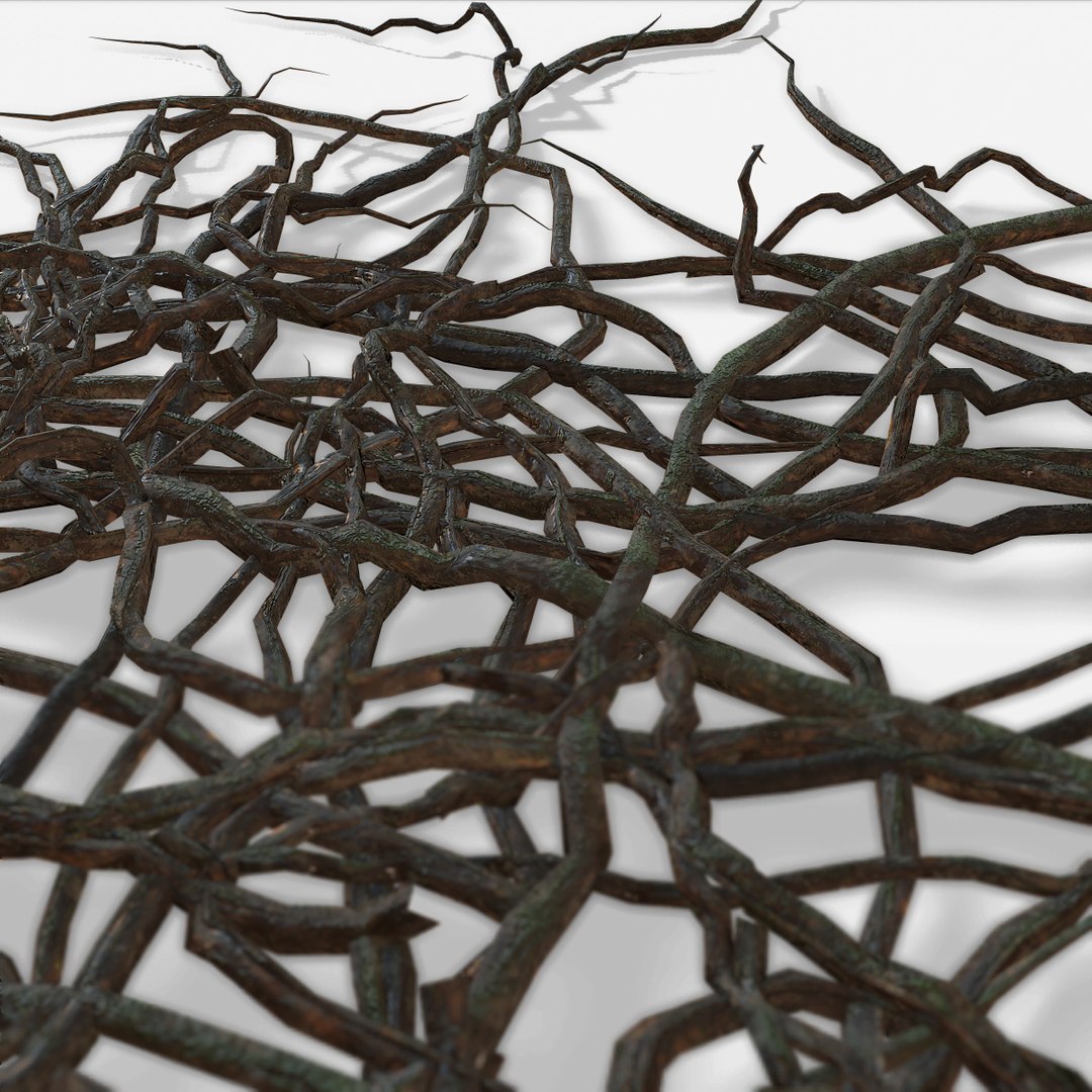 3D Wood Roots Pbr - TurboSquid 1222001