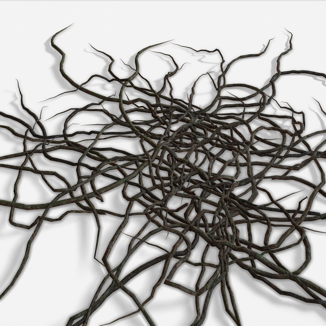 3D Wood Roots Pbr - TurboSquid 1222001