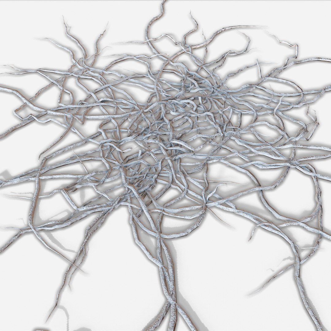 3D Wood Roots Pbr - TurboSquid 1222001