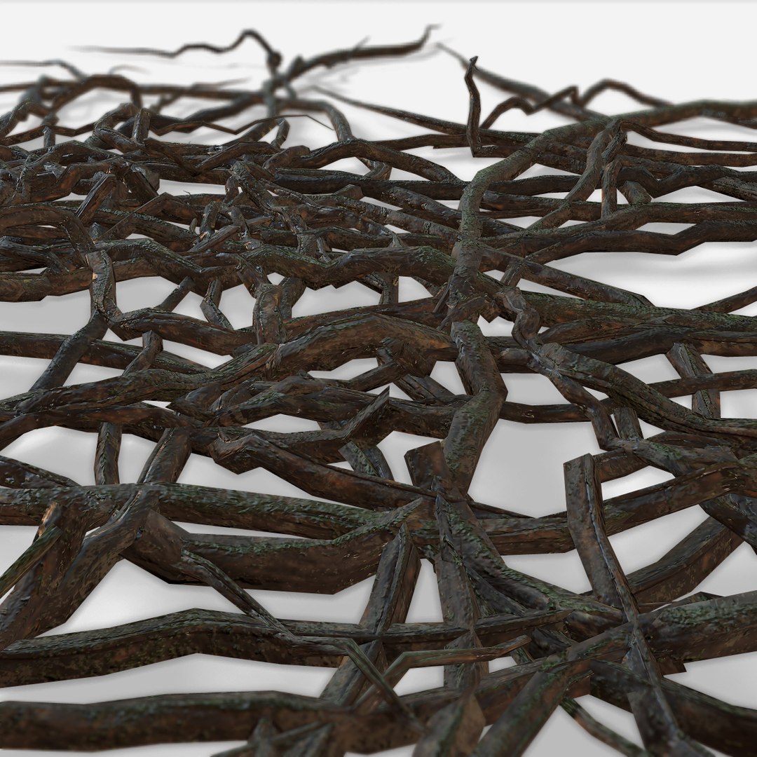 3D Wood Roots Pbr - TurboSquid 1222001