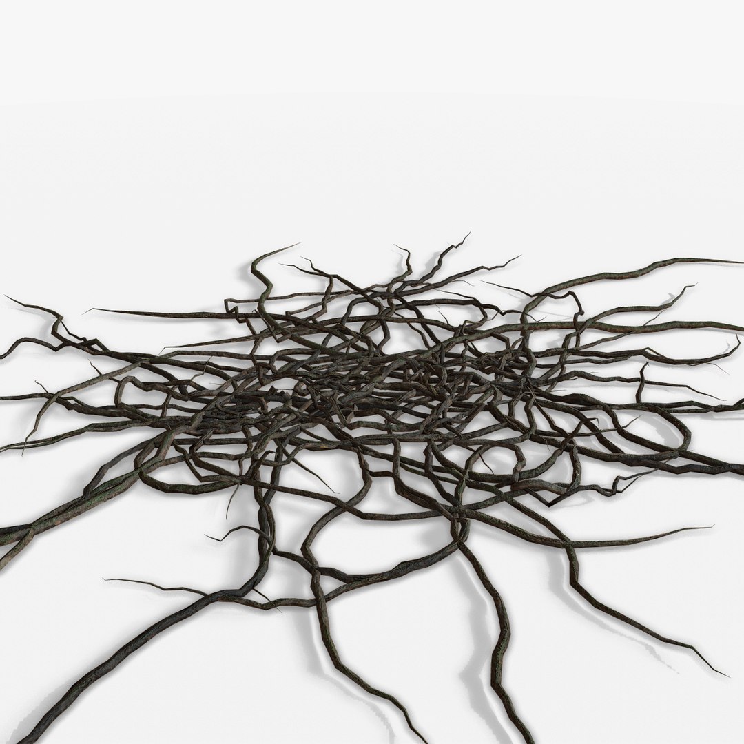 3D Wood Roots Pbr - TurboSquid 1222001