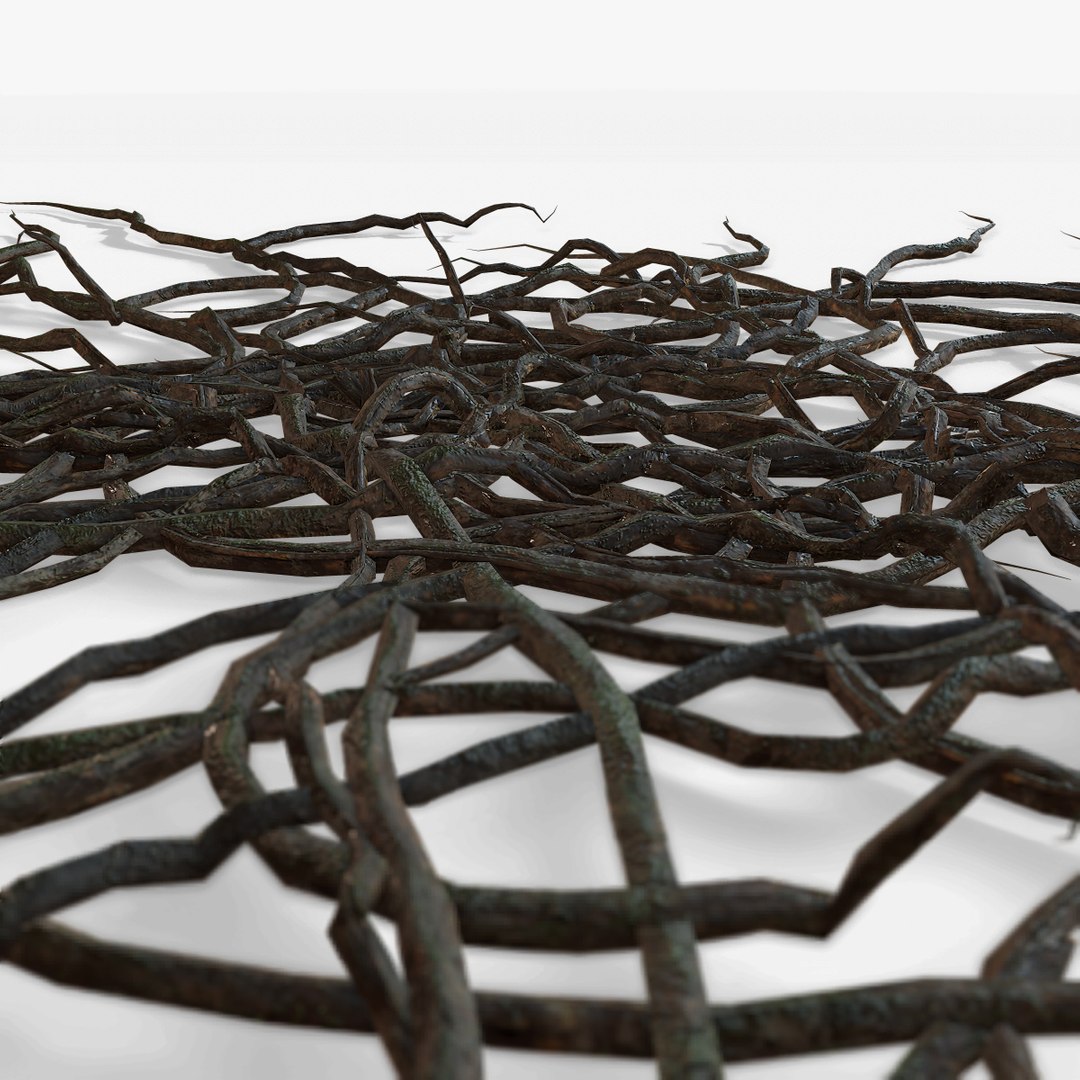 3D Wood Roots Pbr - TurboSquid 1222001