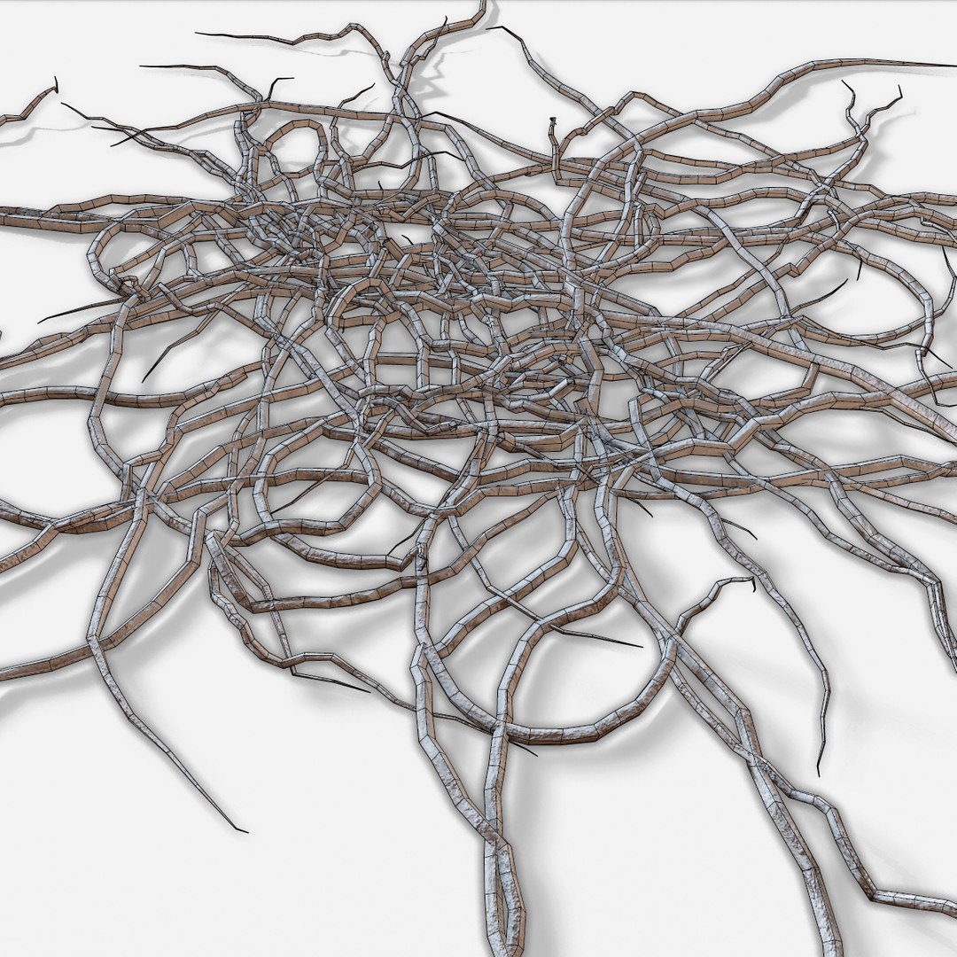 3D Wood Roots Pbr - TurboSquid 1222001