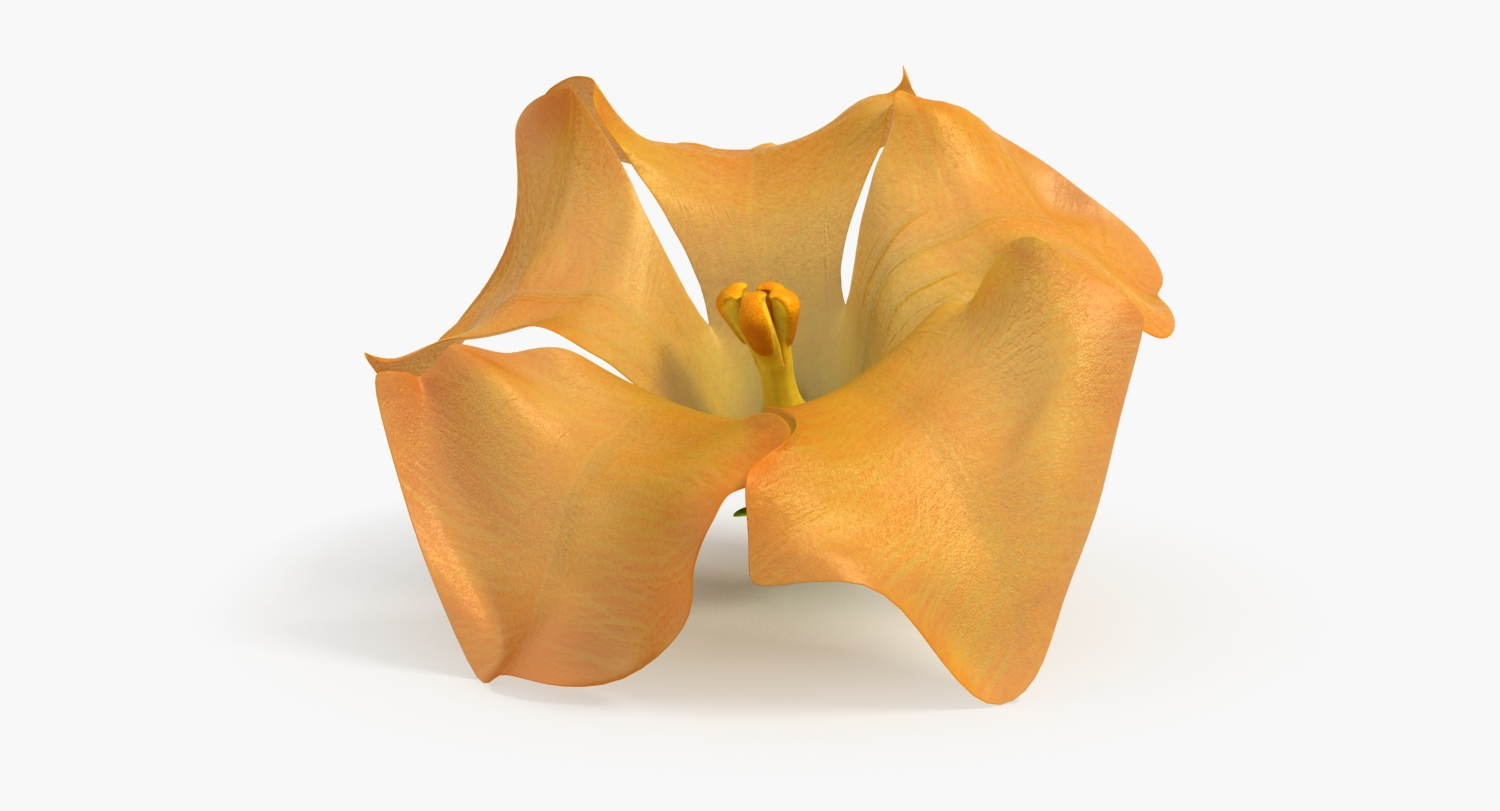 flower 3d model
