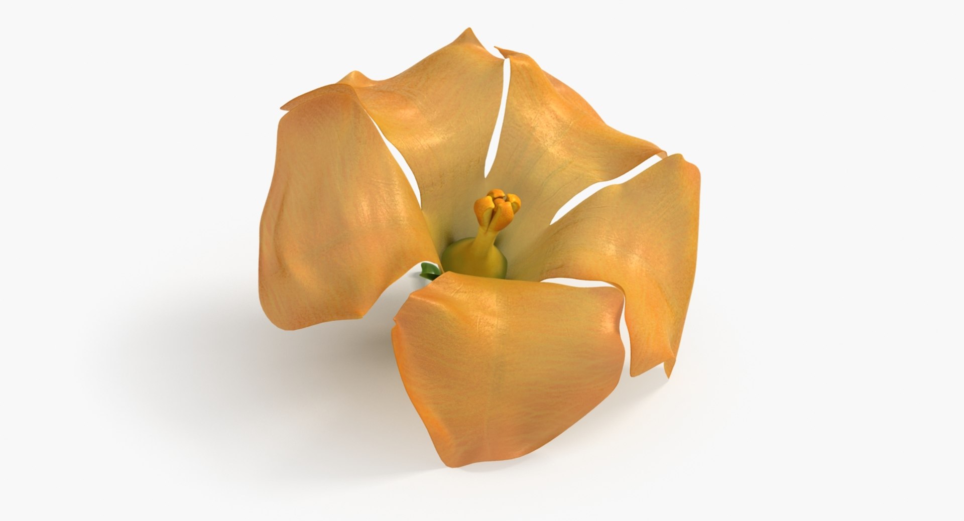 Flower 3d Model