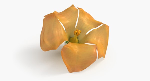 flower 3d model