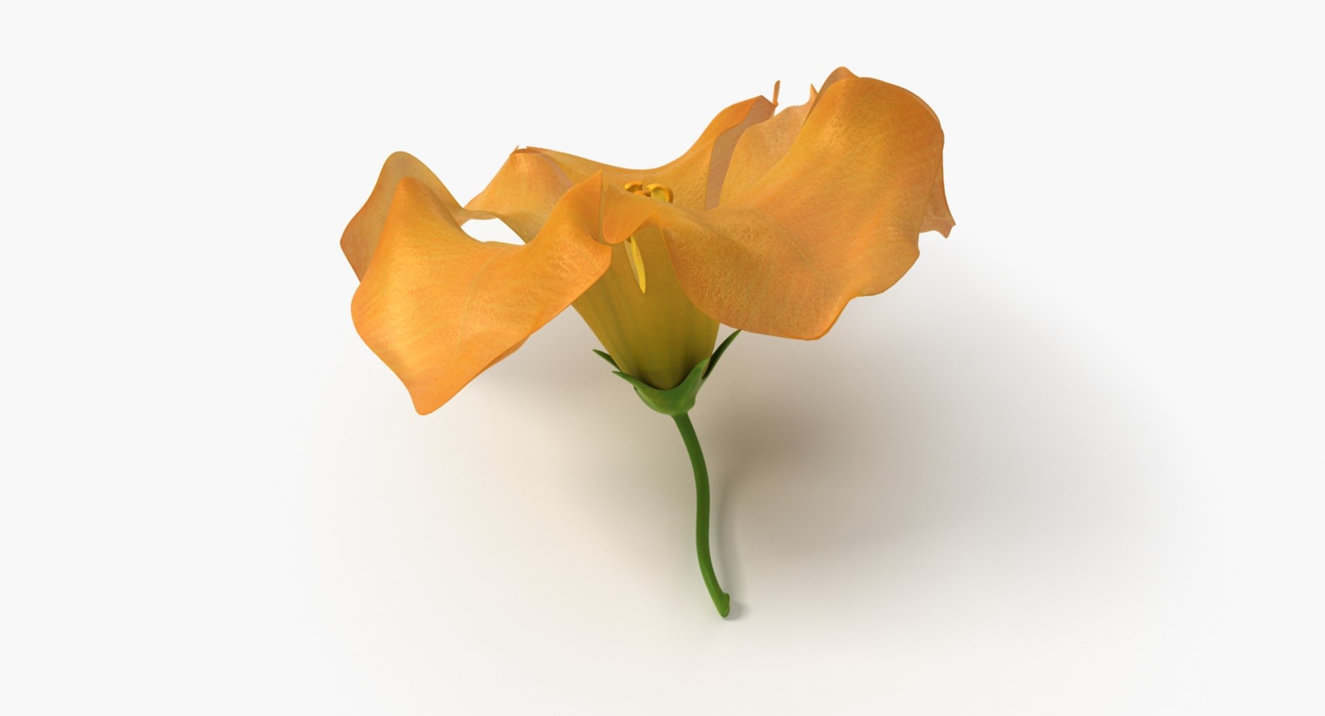 Flower 3d Model
