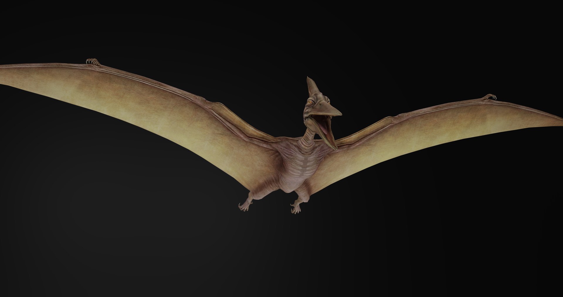 Pterodactyl Low-poly 3D Model - TurboSquid 2127902