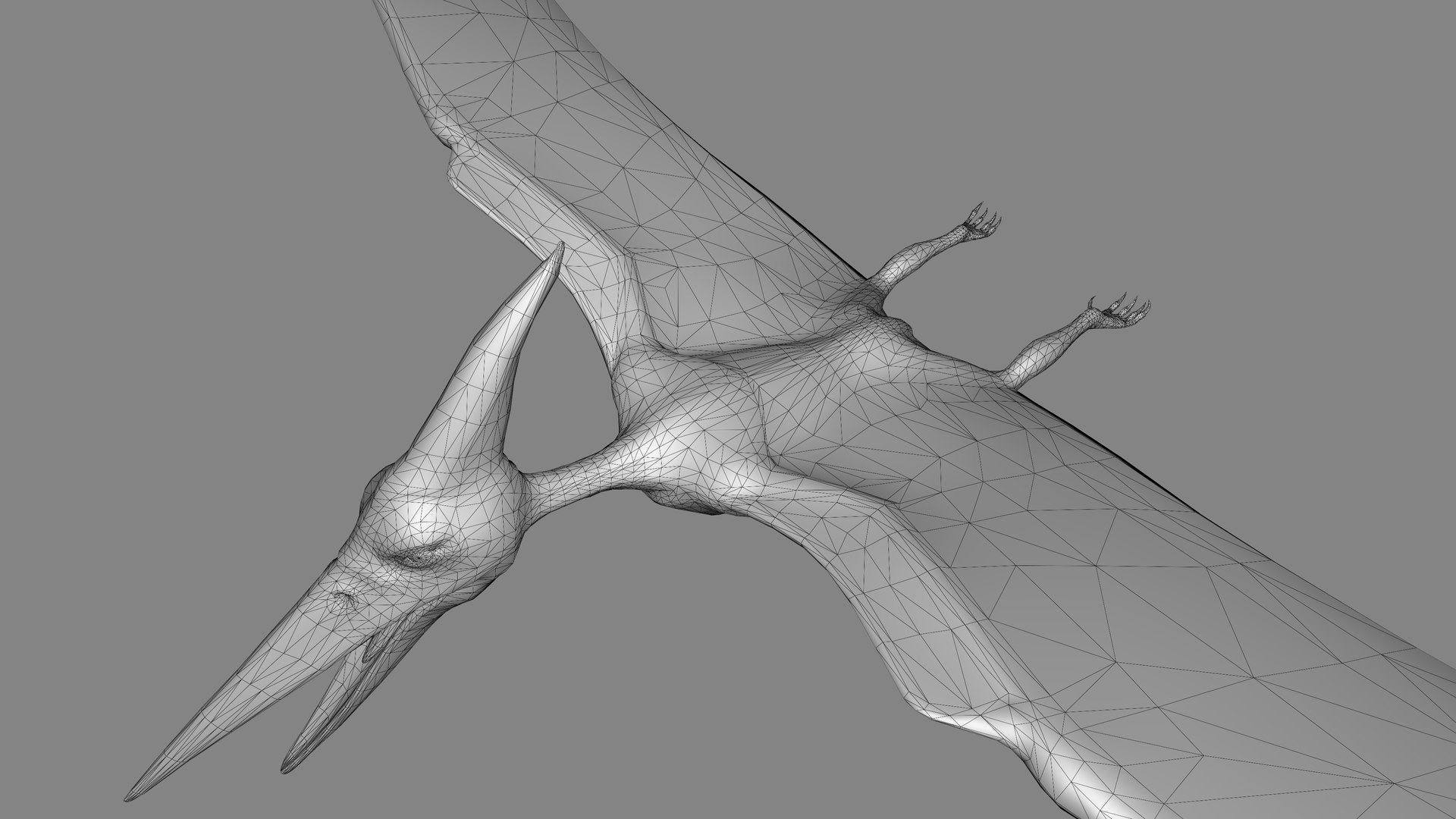 Pterodactyl Low-poly 3D Model - TurboSquid 2127902