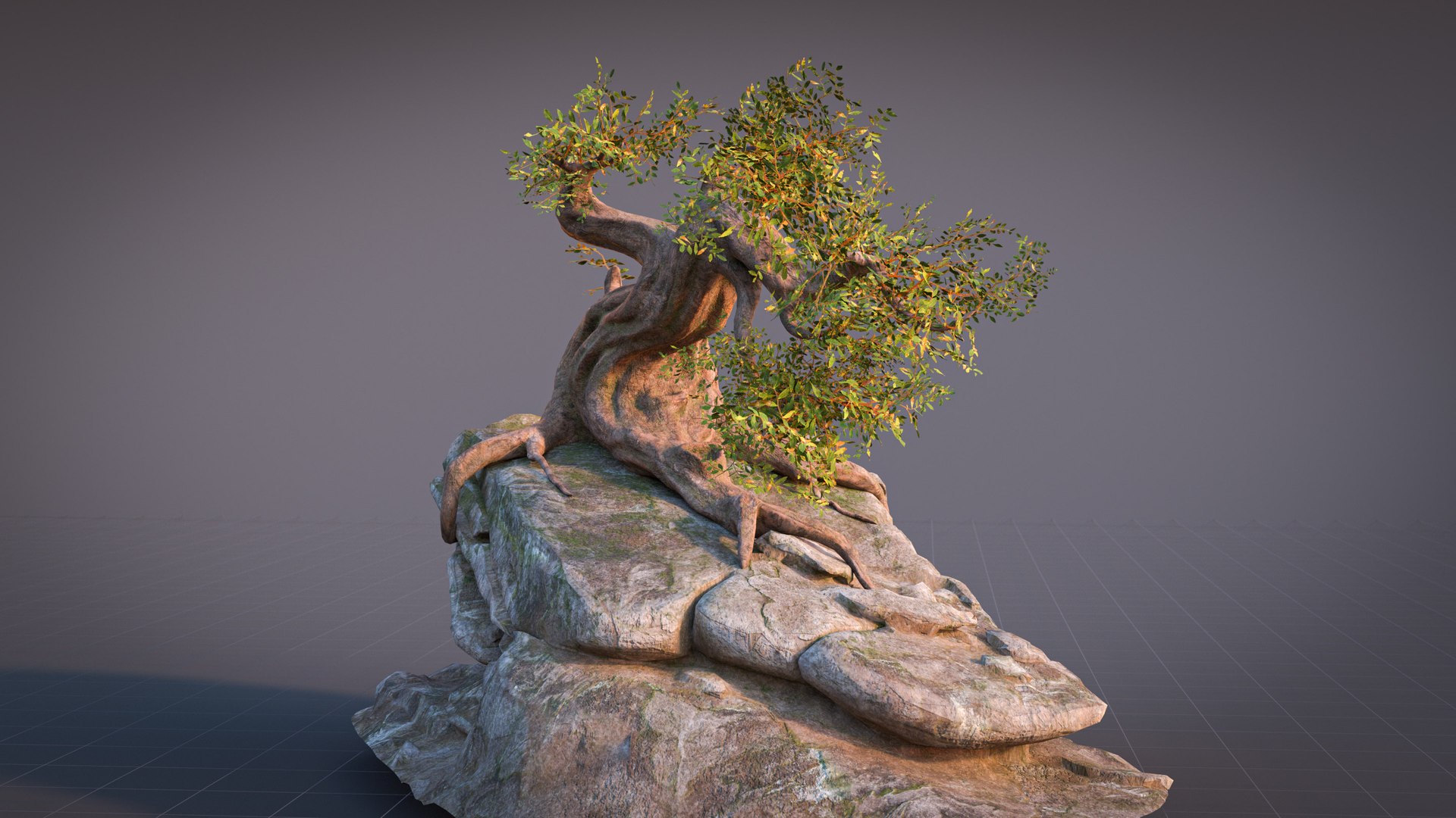 Fantasy Old Tree On A Rocky 3D Model - TurboSquid 1765154