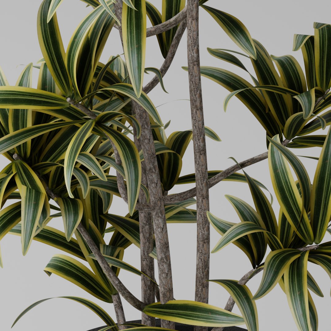 3D Model Small Plant - TurboSquid 1534553