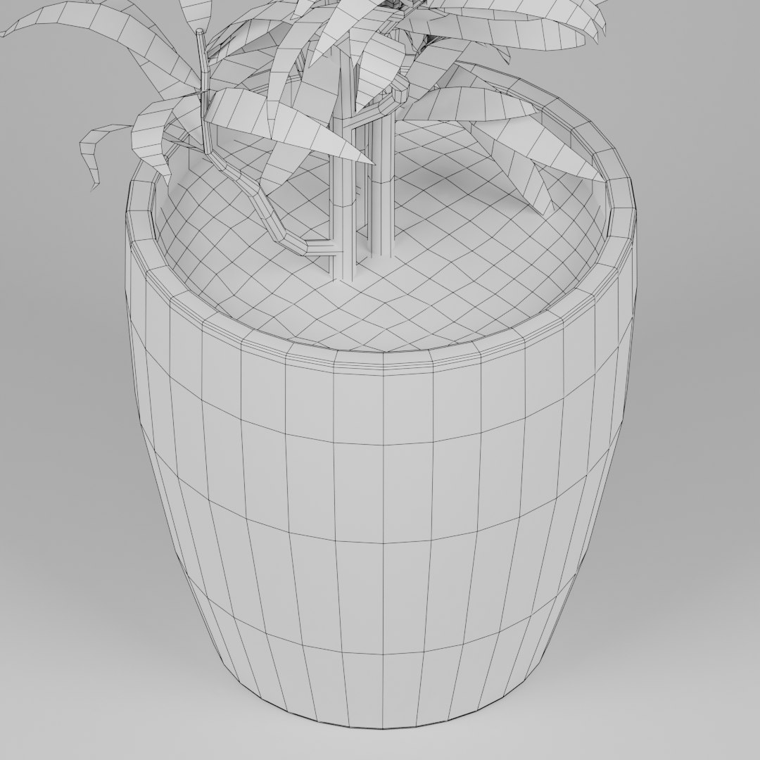 3D Model Small Plant - TurboSquid 1534553
