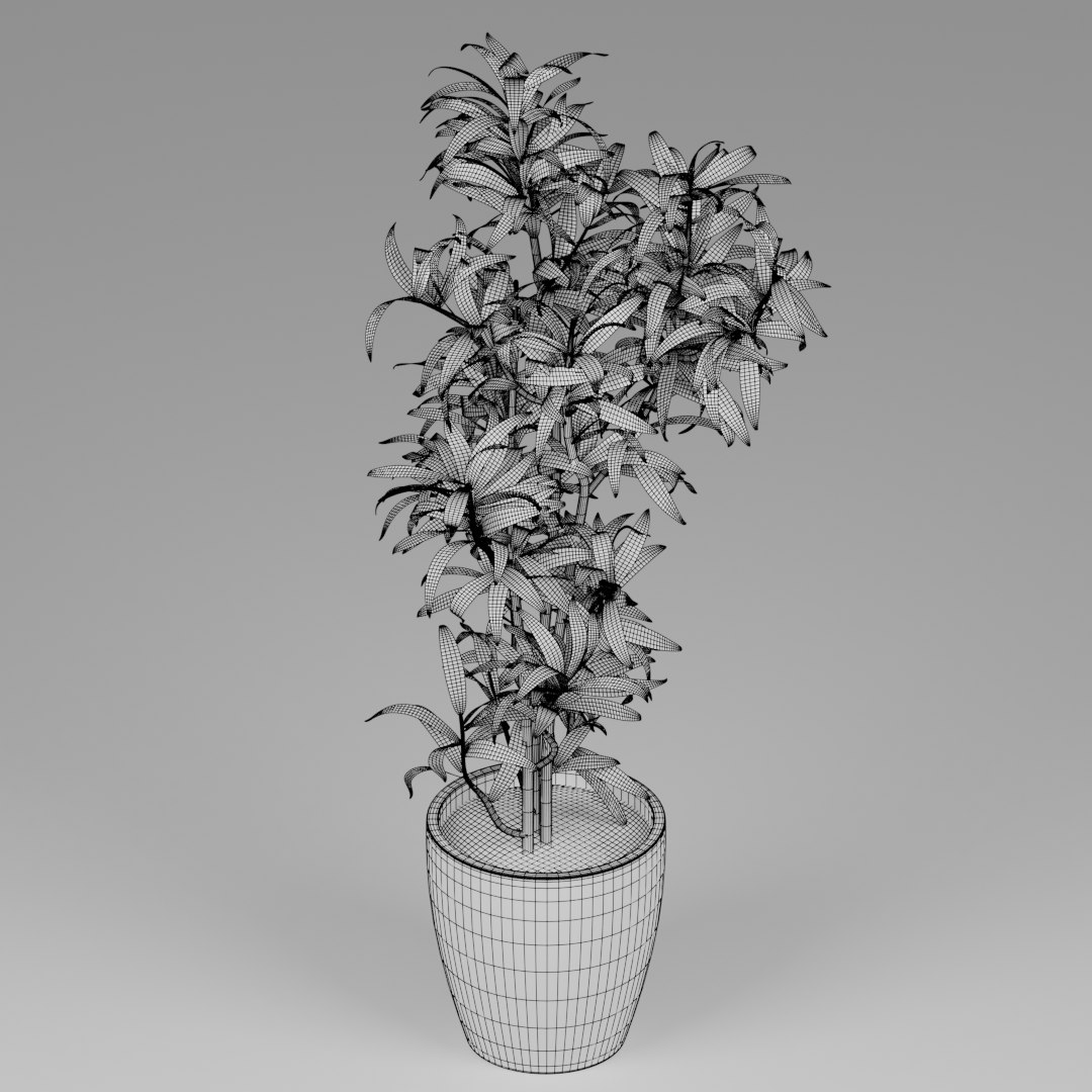 3D Model Small Plant - TurboSquid 1534553