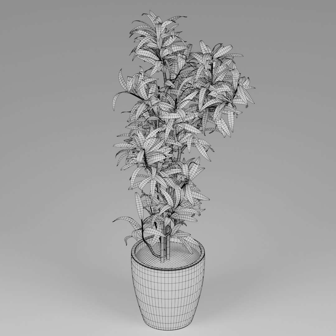 3D Model Small Plant - TurboSquid 1534553