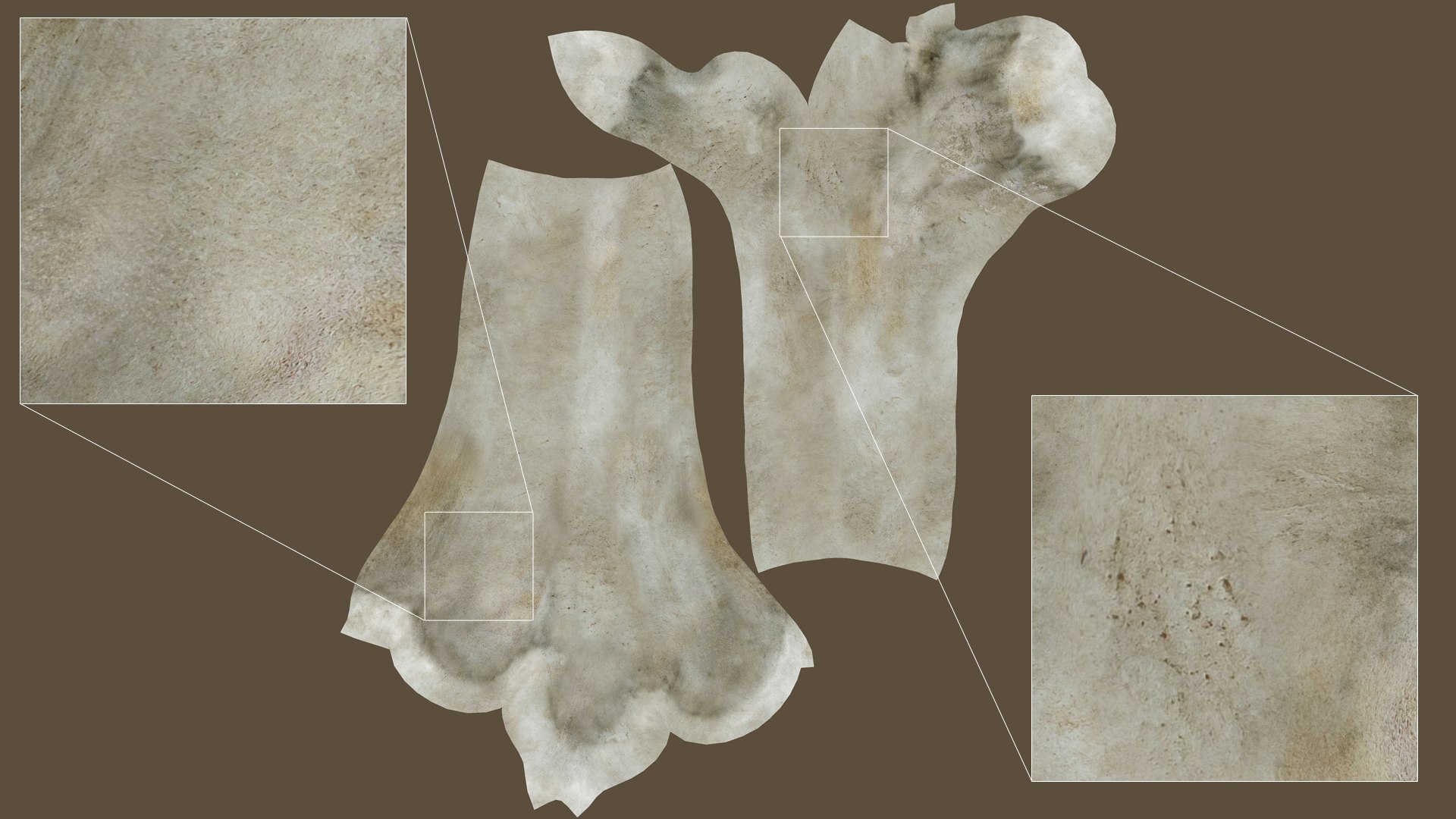 Femur Bone Structure 3D model - TurboSquid 1935934