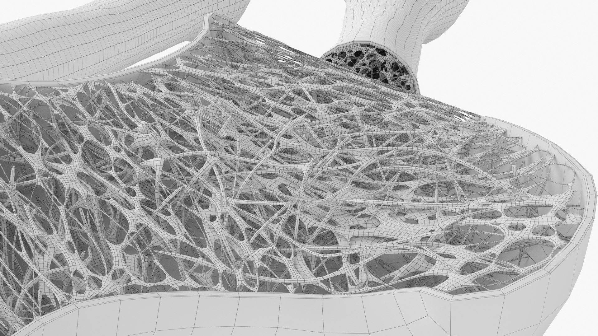 Femur Bone Structure 3D model - TurboSquid 1935934