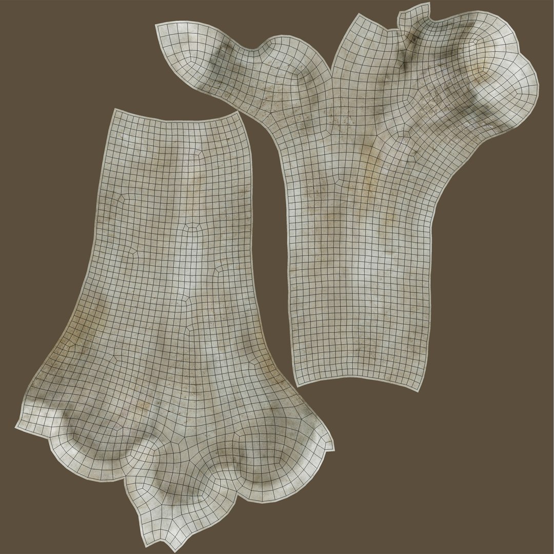 Femur Bone Structure 3D model - TurboSquid 1935934