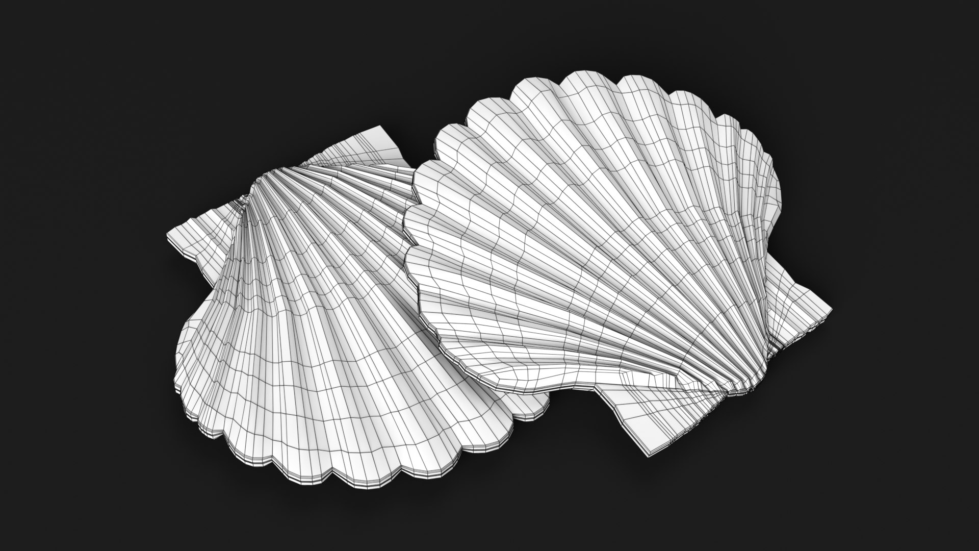 Seashell shell sea 3D model - TurboSquid 1665703