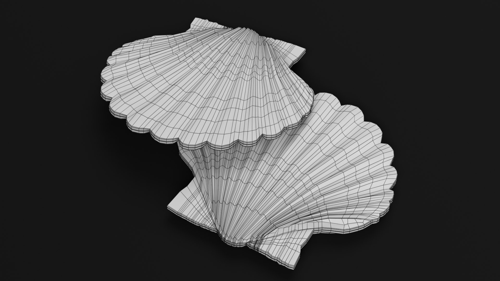Seashell shell sea 3D model - TurboSquid 1665703