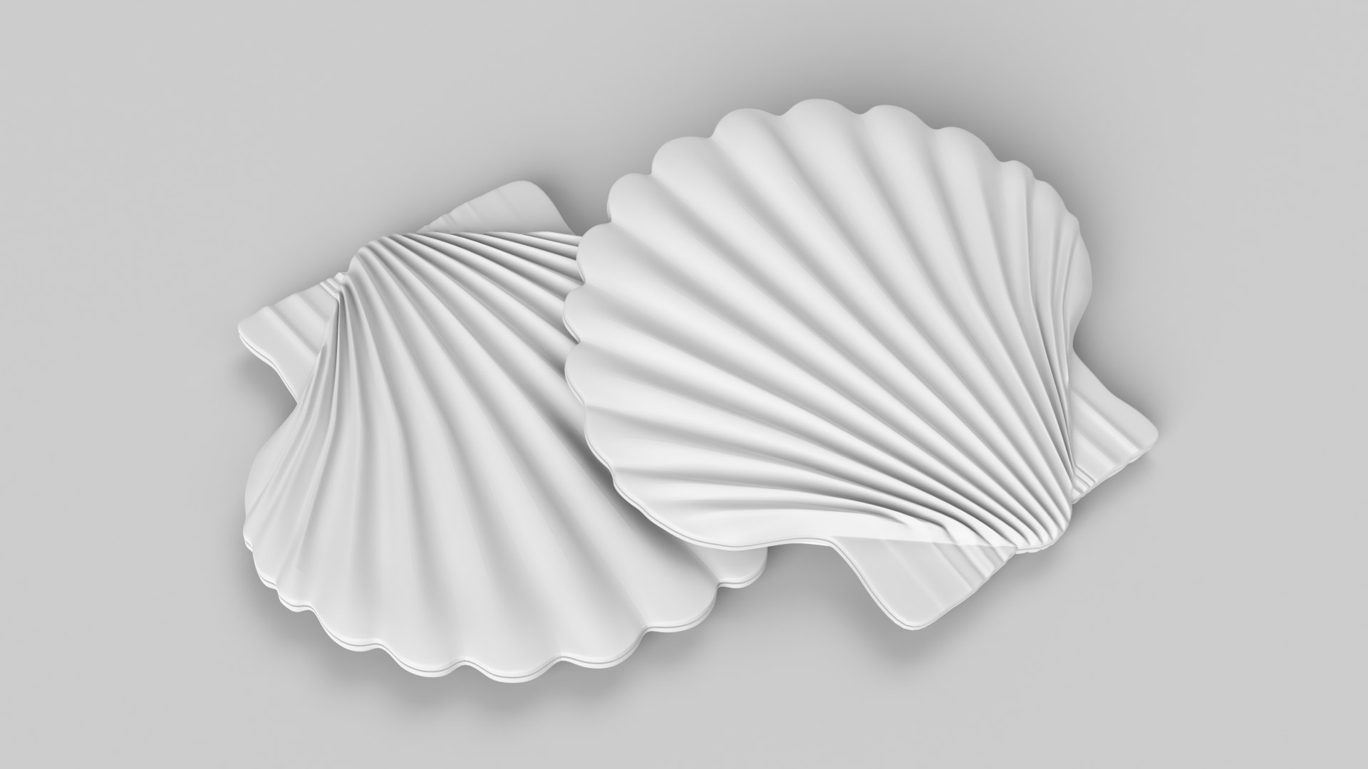 Seashell shell sea 3D model - TurboSquid 1665703