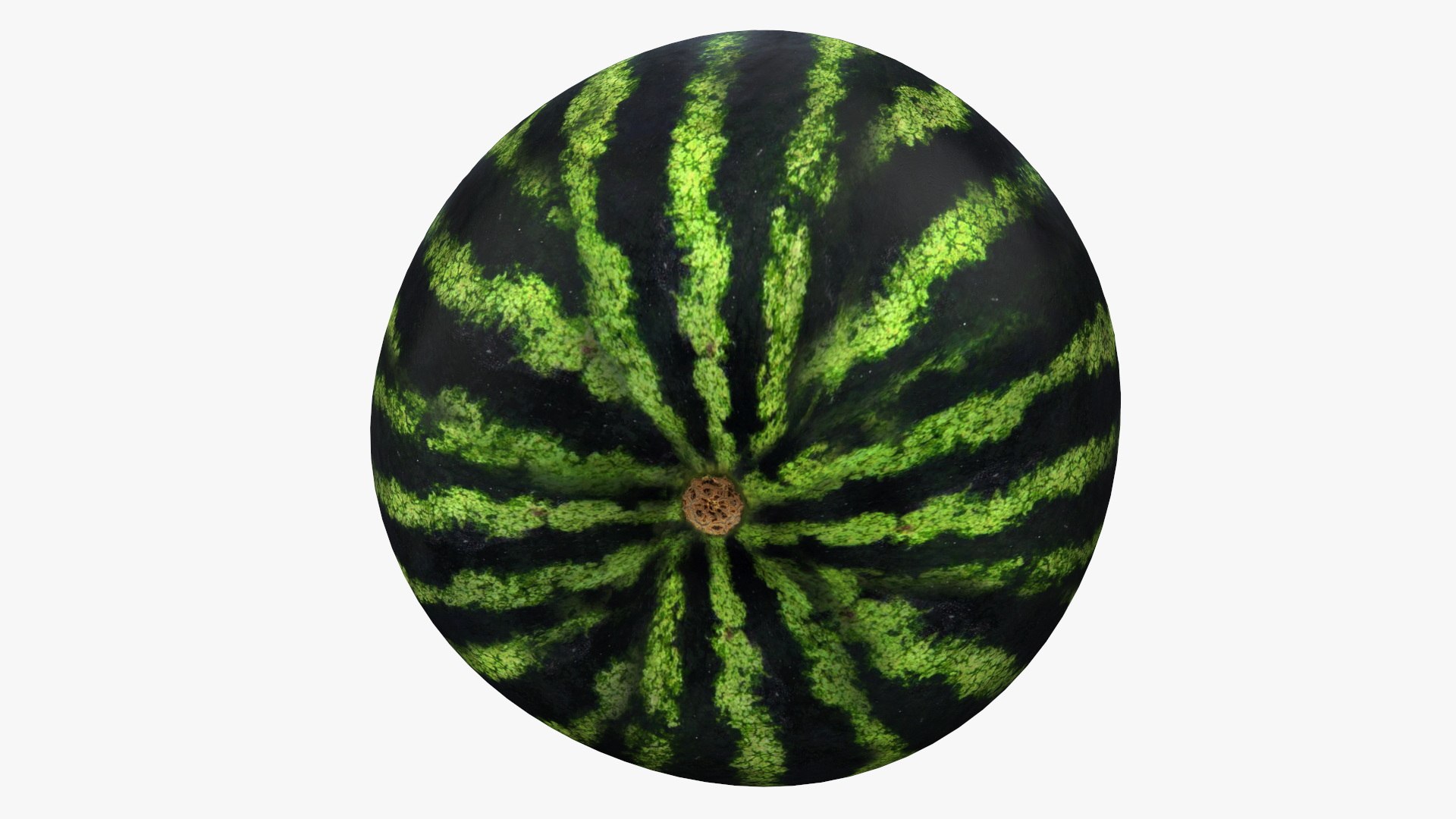 3D Watermelon Cut In Half - TurboSquid 2137095