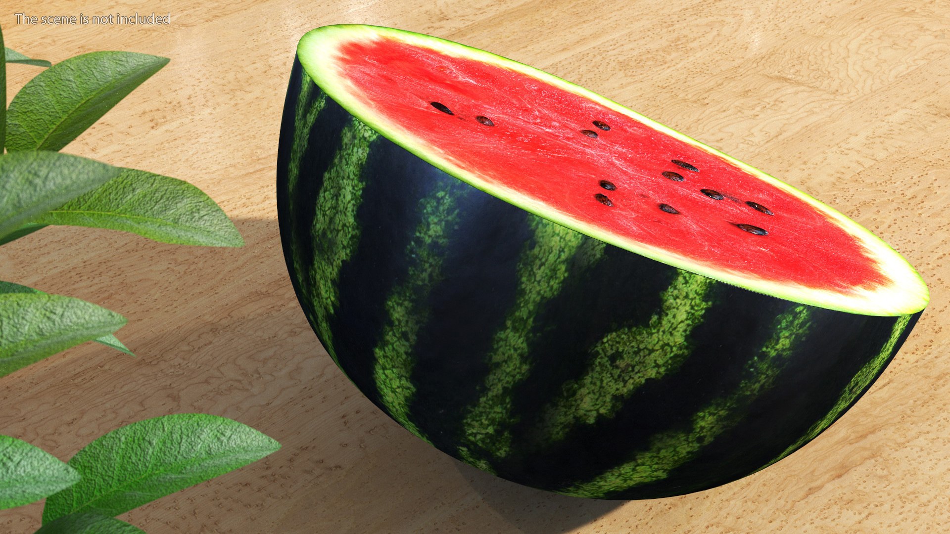 3D Watermelon Cut In Half - TurboSquid 2137095