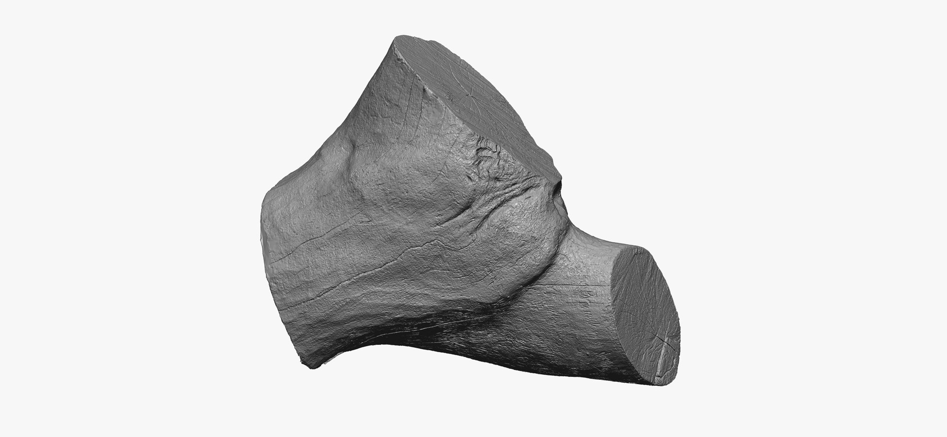 Broken Tree Trunk Piece 02 RAW Scan Model - TurboSquid 2143345