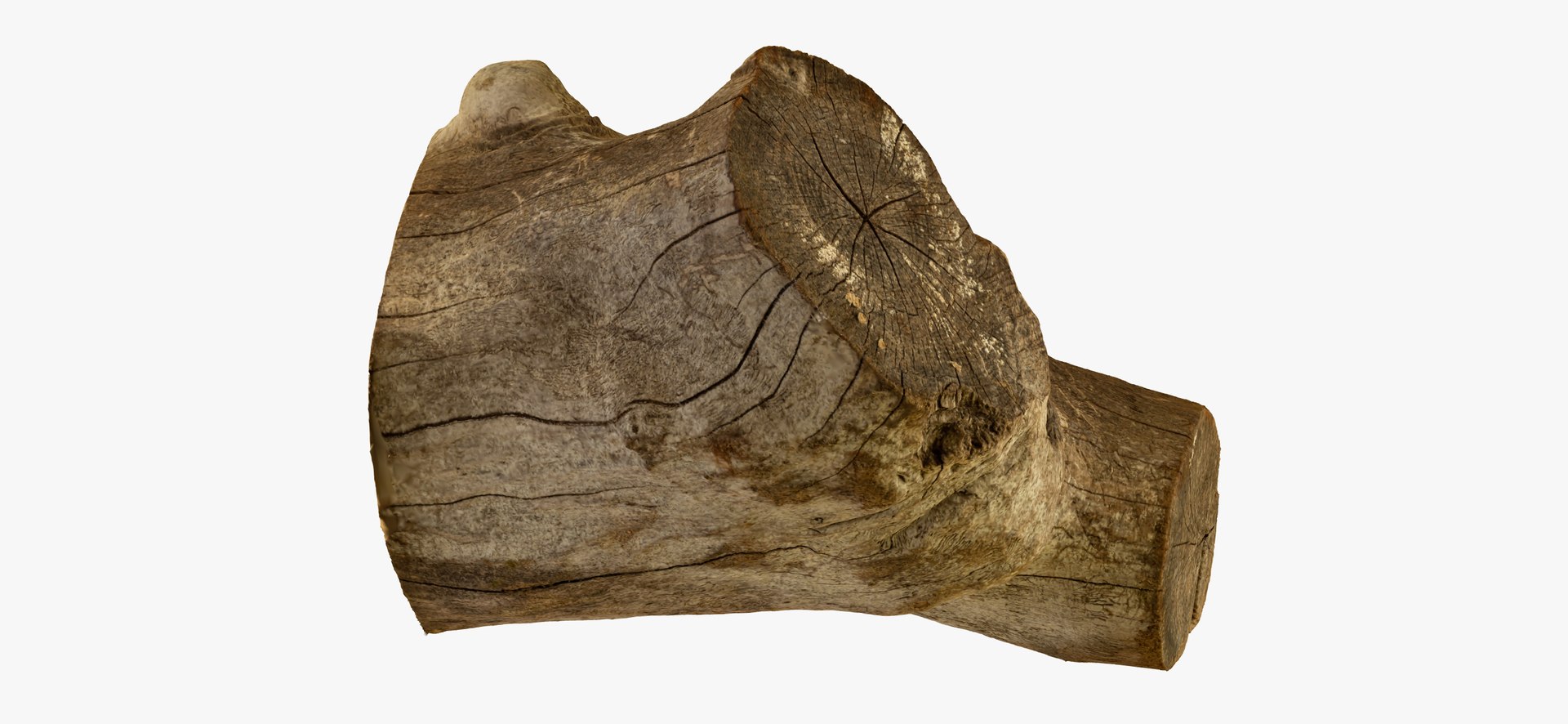 Broken Tree Trunk Piece 02 RAW Scan Model - TurboSquid 2143345