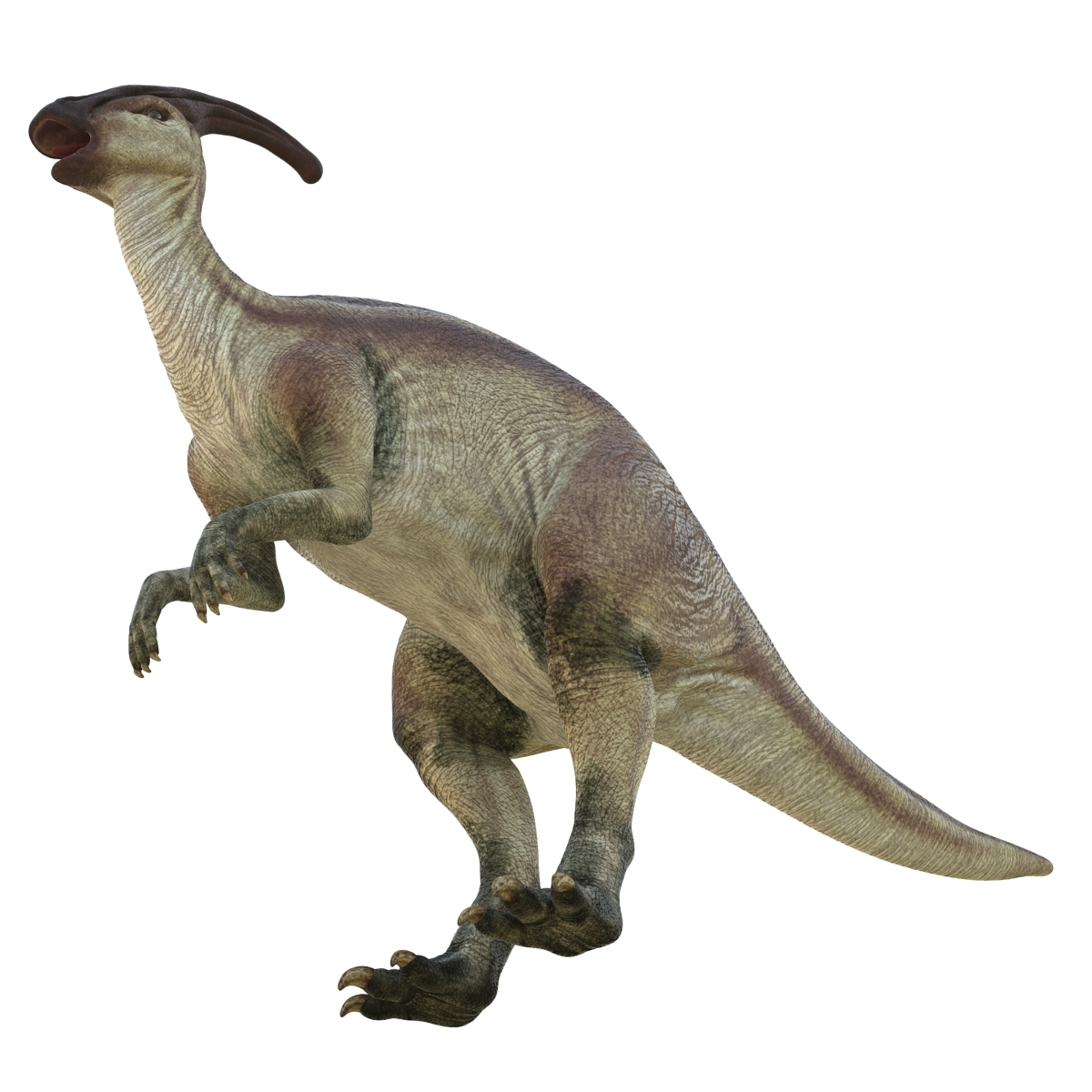 max parasaurolophus rigged
