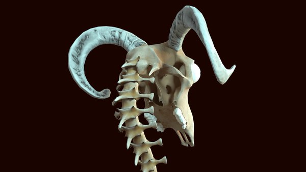 3D Bone Staff model - TurboSquid 1756456