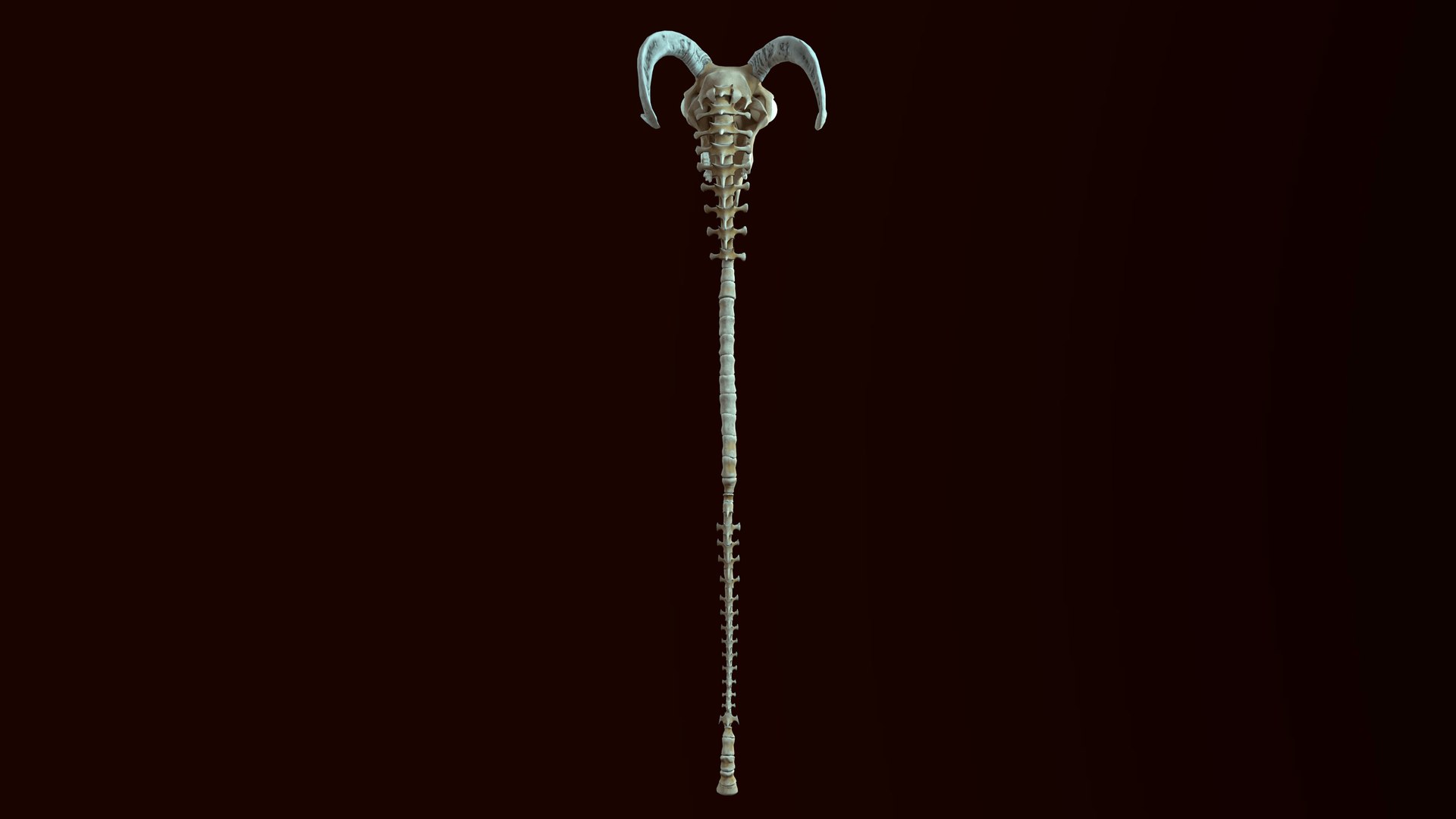 3D Bone Staff Model - TurboSquid 1756456