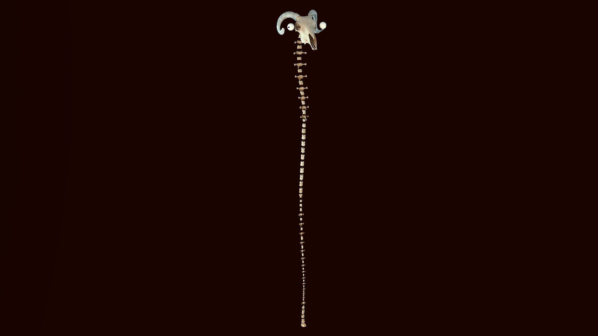 3D Bone Staff Model - TurboSquid 1756456