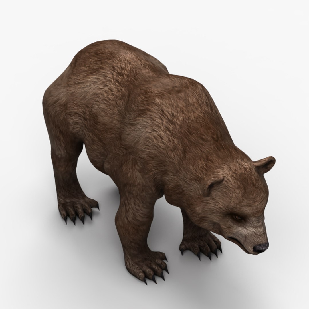 Bear 3ds