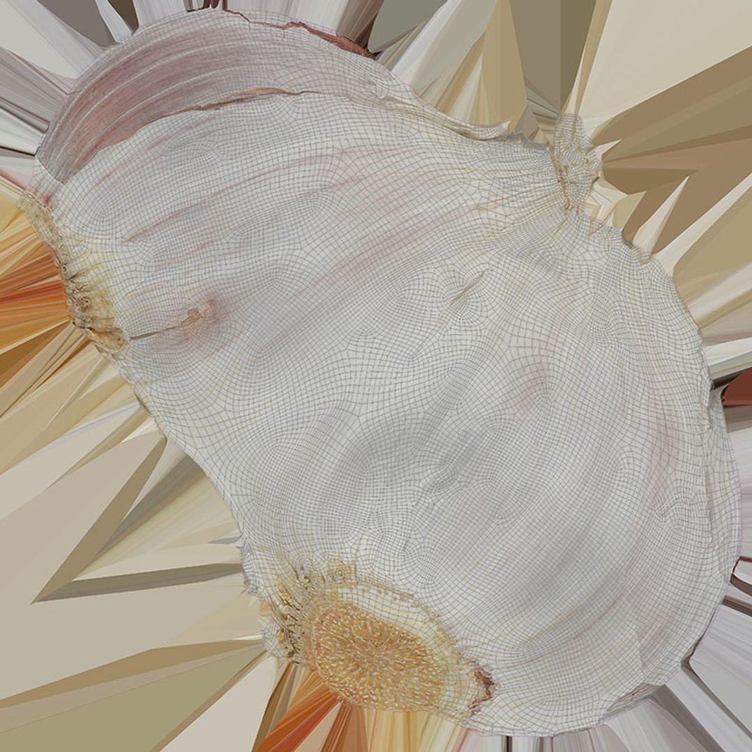 3D Garlic Collection 5 Model - TurboSquid 2296922