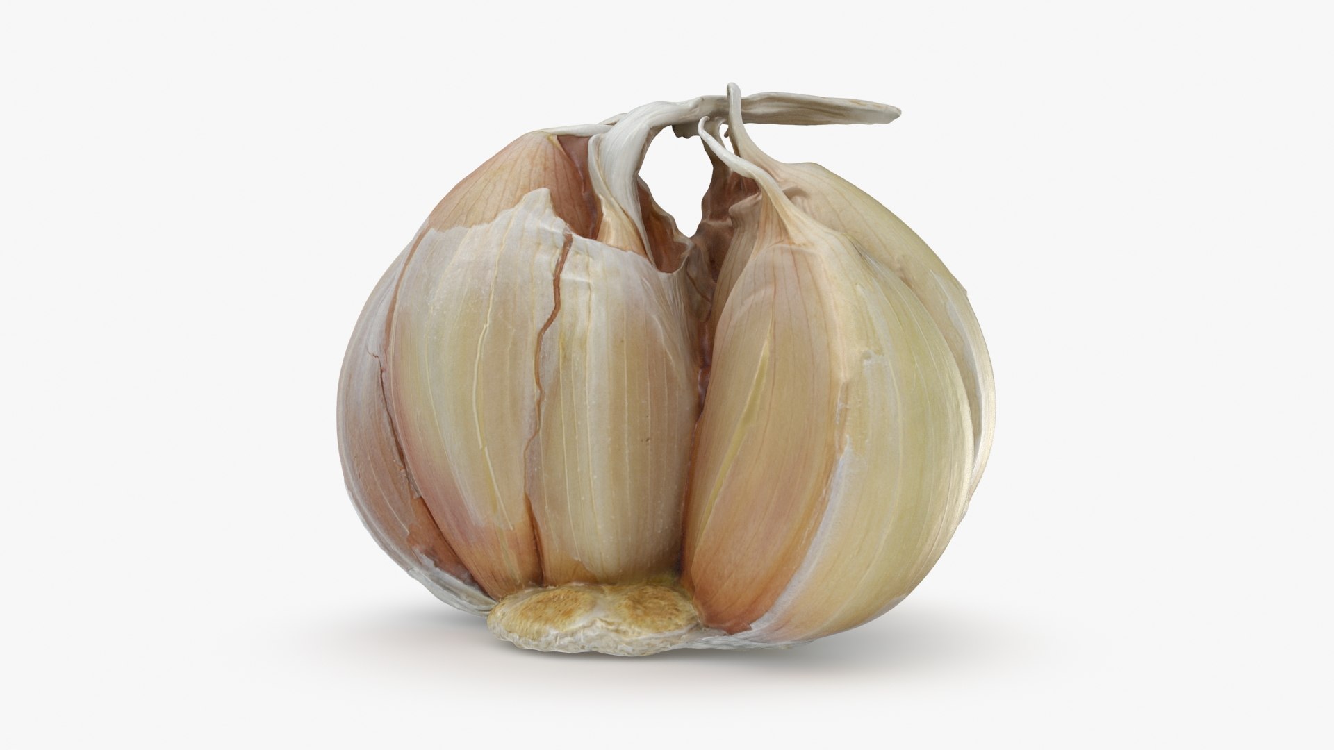 3D Garlic Collection 5 Model - TurboSquid 2296922