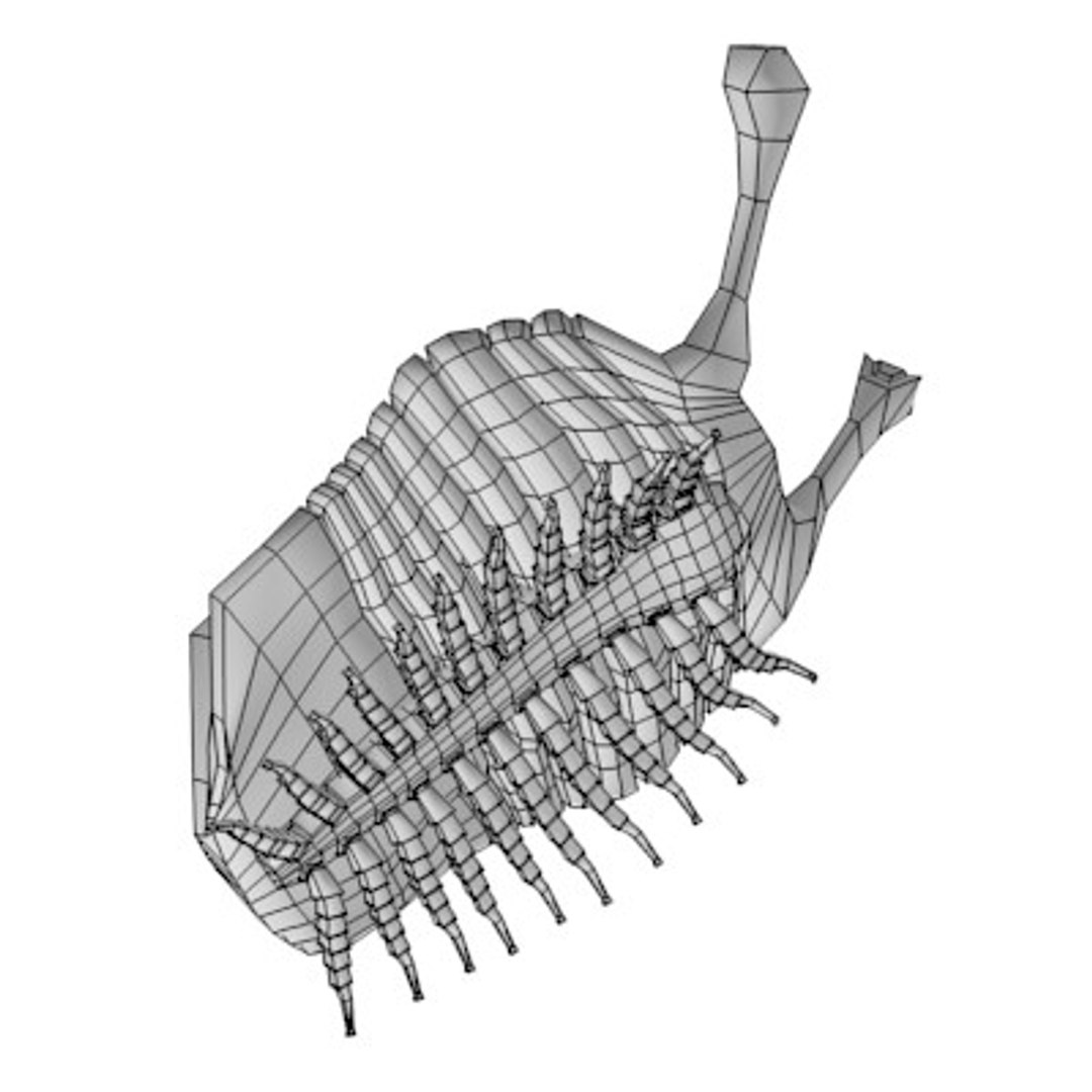 3d Model Trilobite Tri
