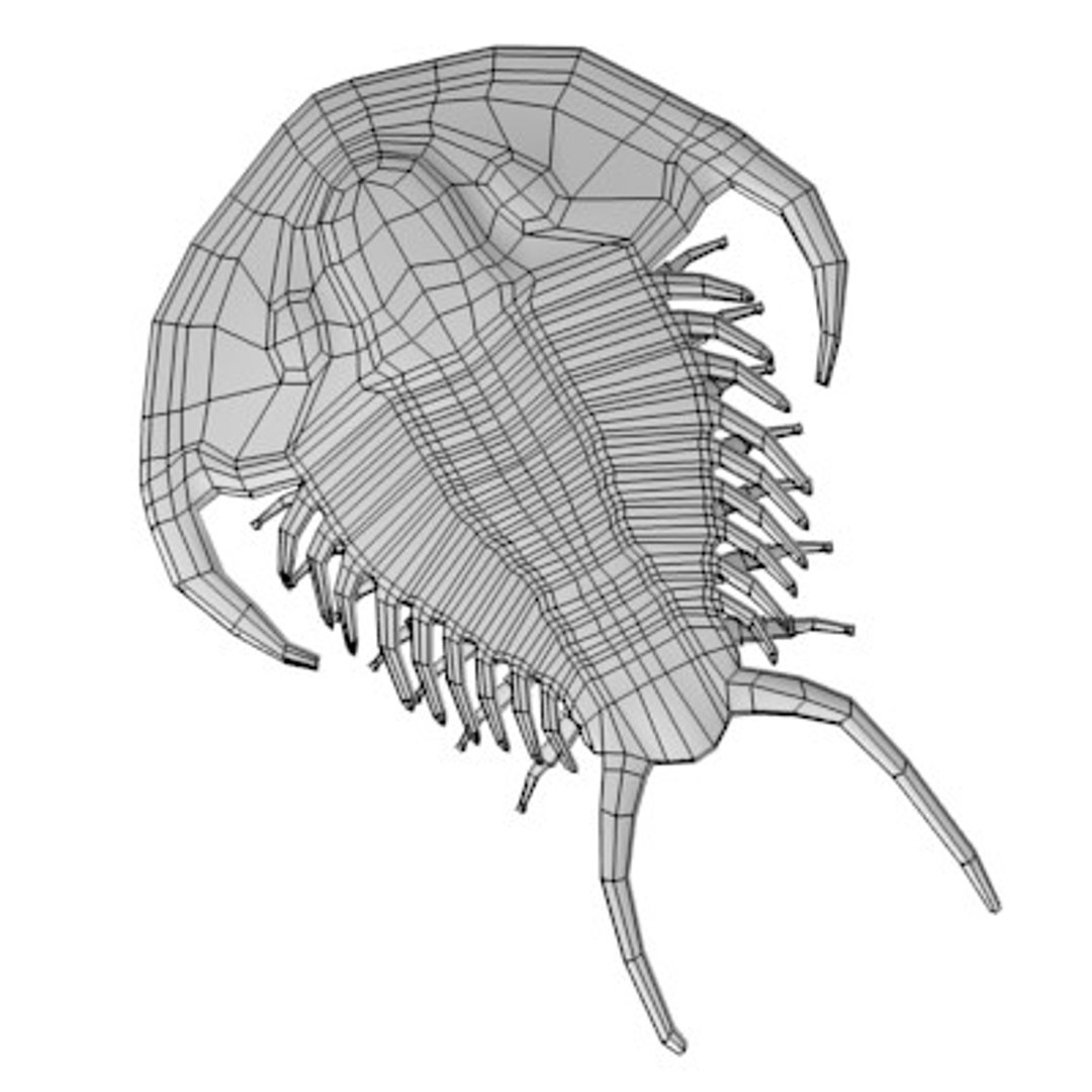 3d Model Trilobite Tri