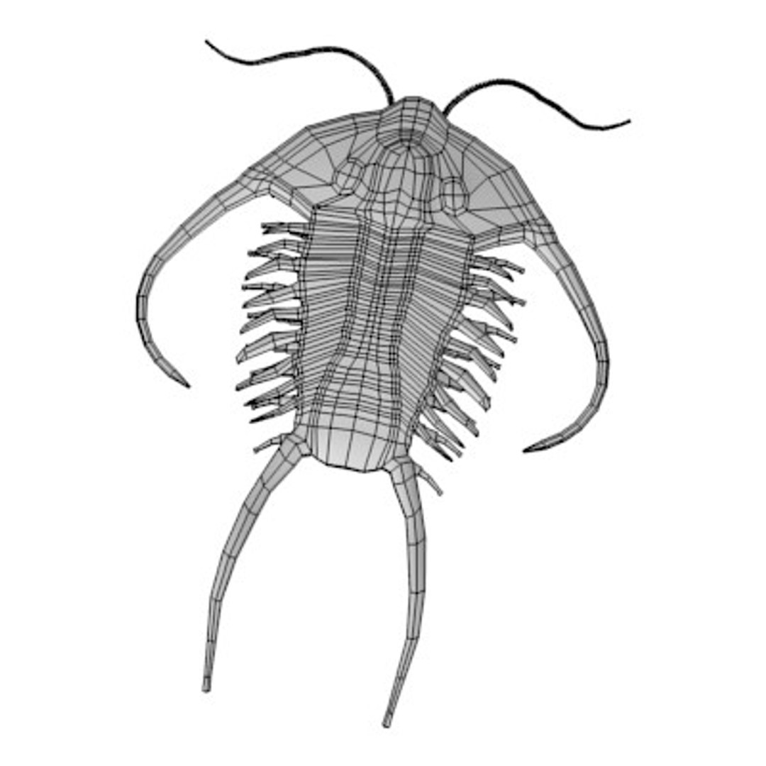 3d Model Trilobite Tri
