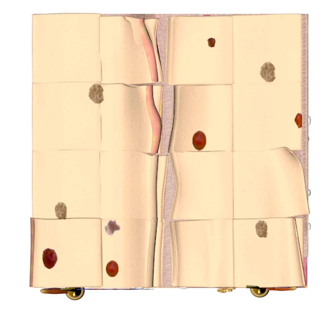 3d Skin Close-up Microscope