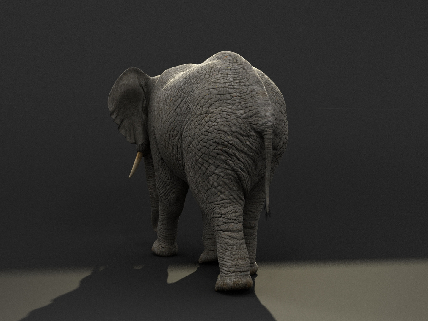 Max Realistic Elephant Rigged