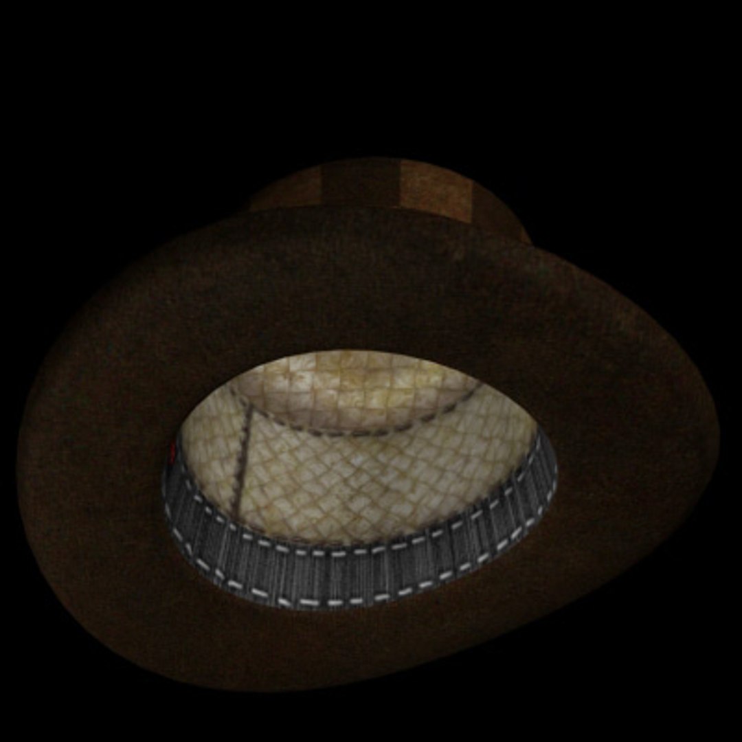 3d Model Shallow Hat