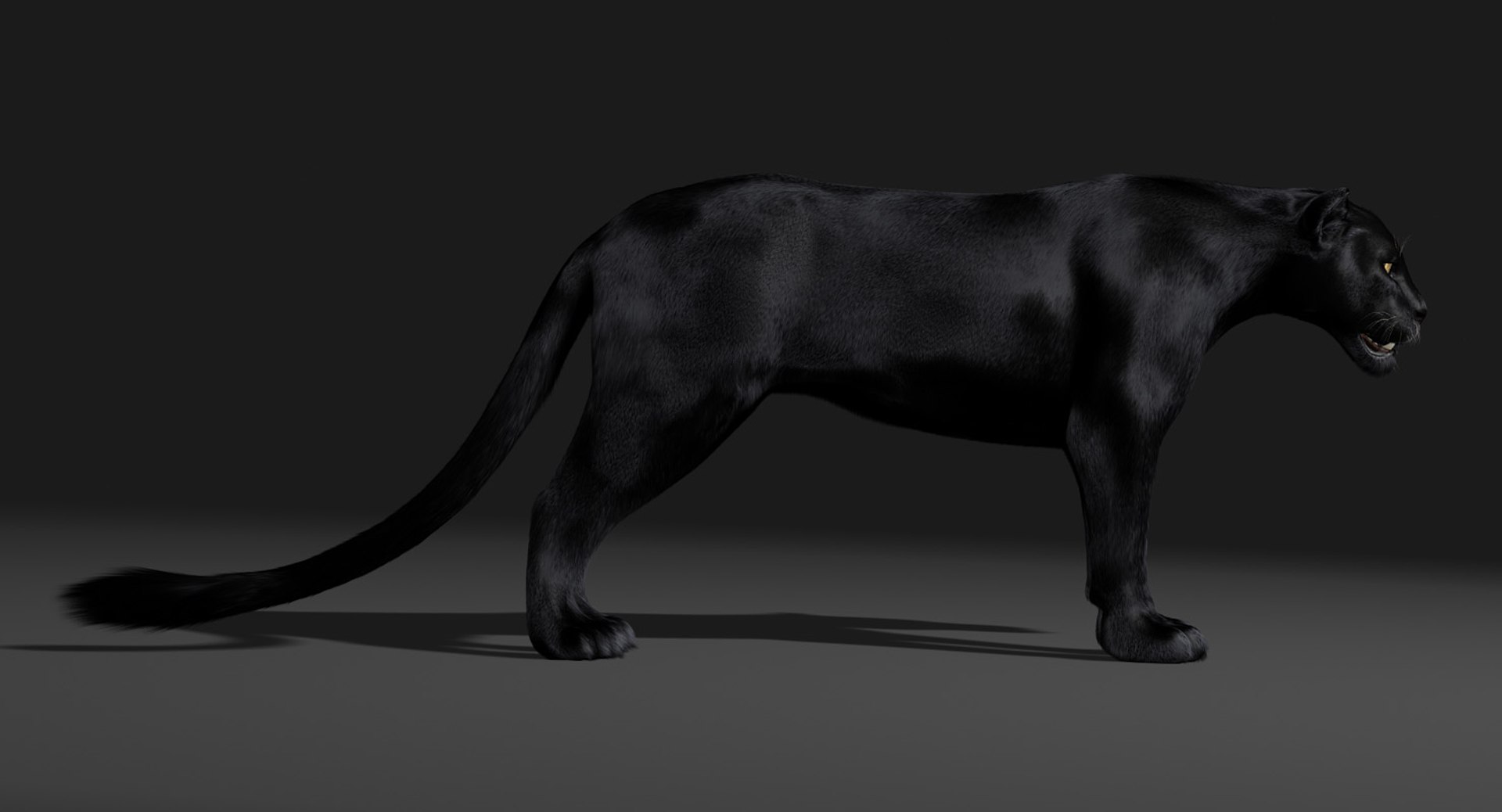 3d Black Panther Fur Animation