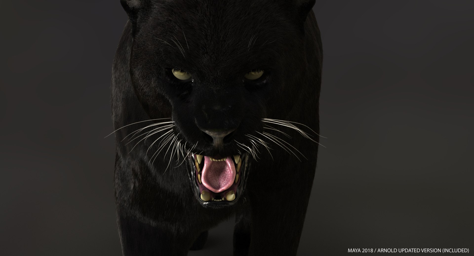 3d black panther fur animation